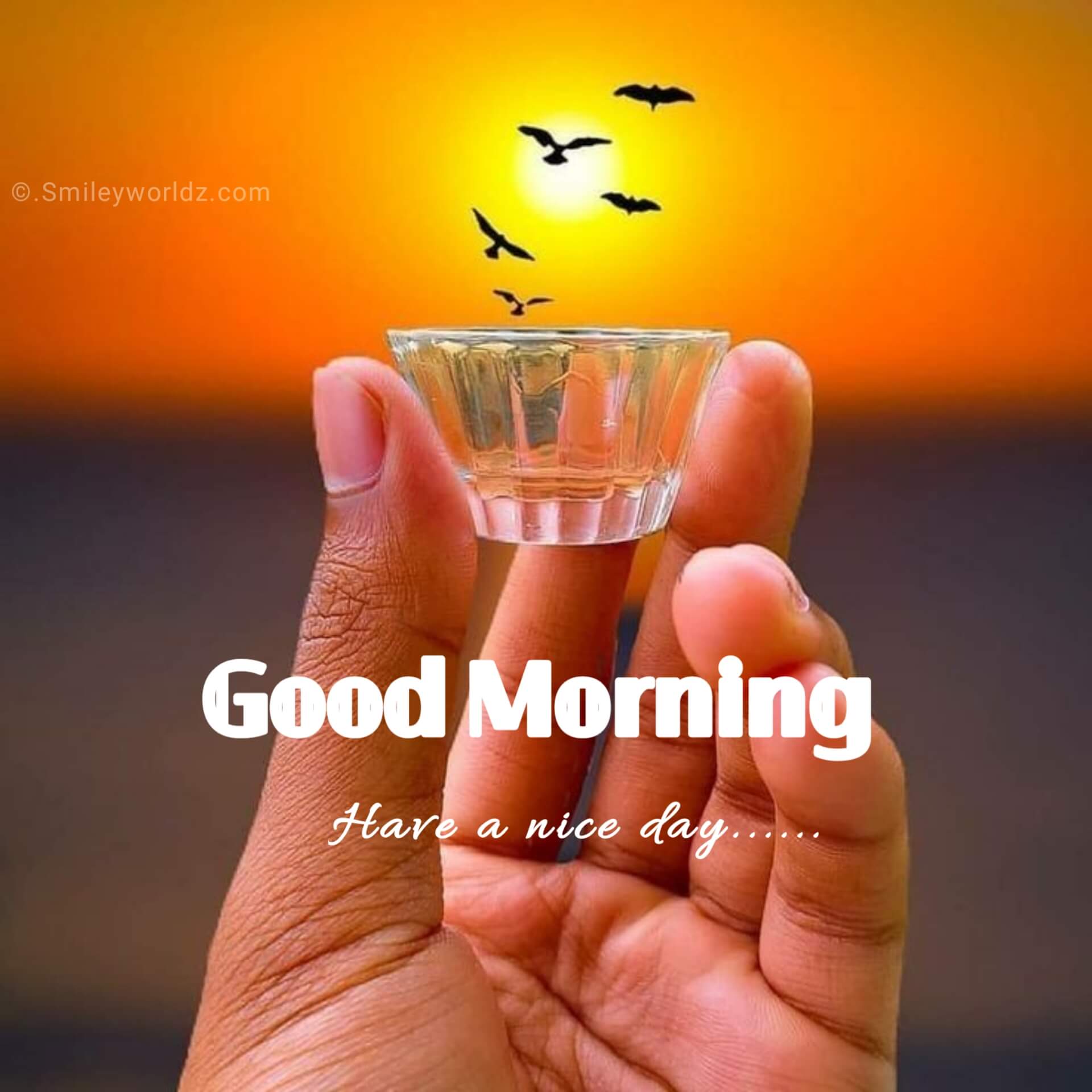 Good Morning Pictures Photo - Infoupdate.org